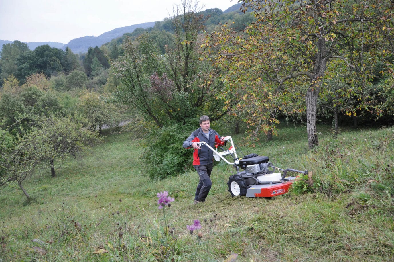 Hochgrasmäher, Balkenmäher, Wiesenmäher und Schlegelmäher - Josef ...