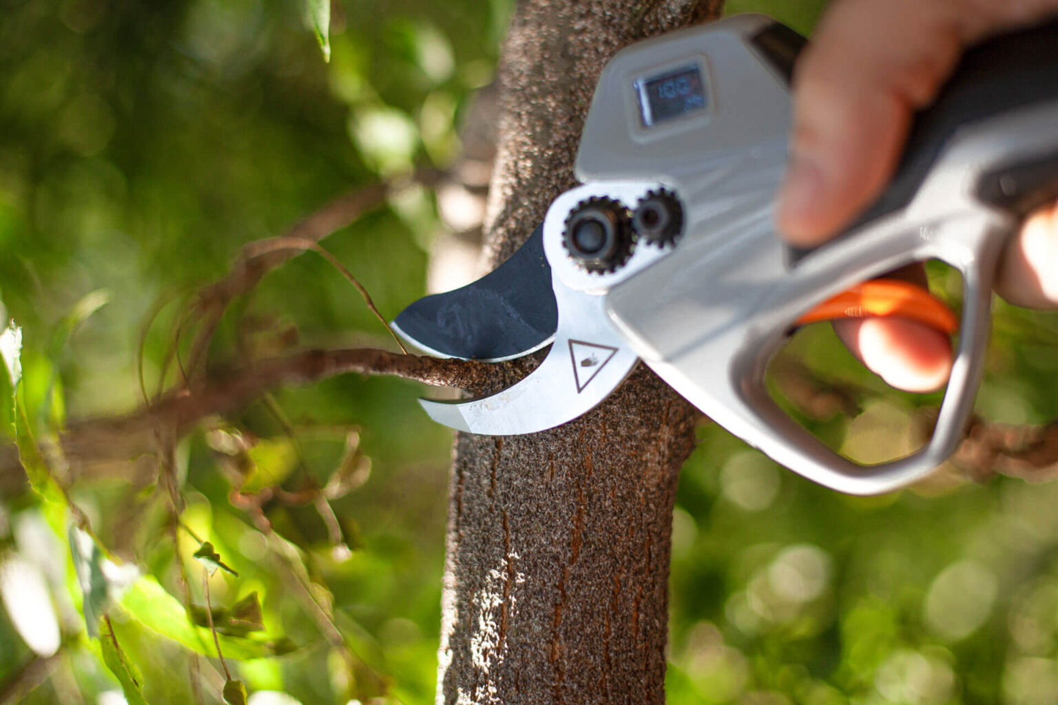 Die neuen kabellosen Akkuscheren von PELLENC – M32C und C3X - Josef ...